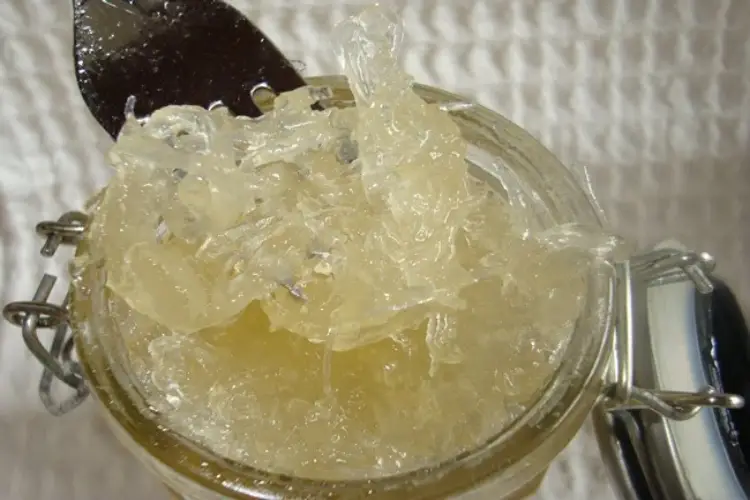 Receita de Doce de gila ou chila - Receitas Brasileiras